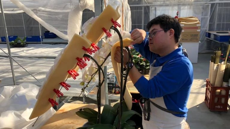 NPO法人AlonAlon - findgood