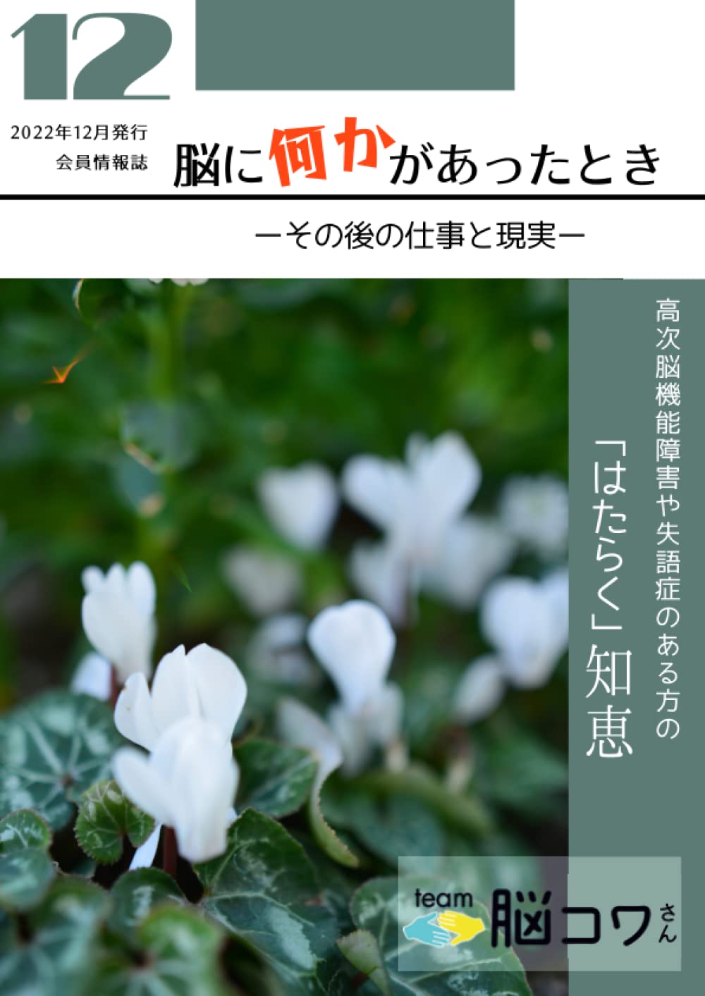 脳に何かがあったとき 2022年12月号 - findgood